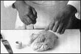 Trussing a Chicken