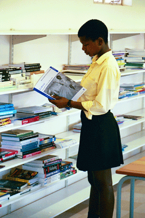 Access Denied: The State of Libraries in Post Apartheid South Africa
